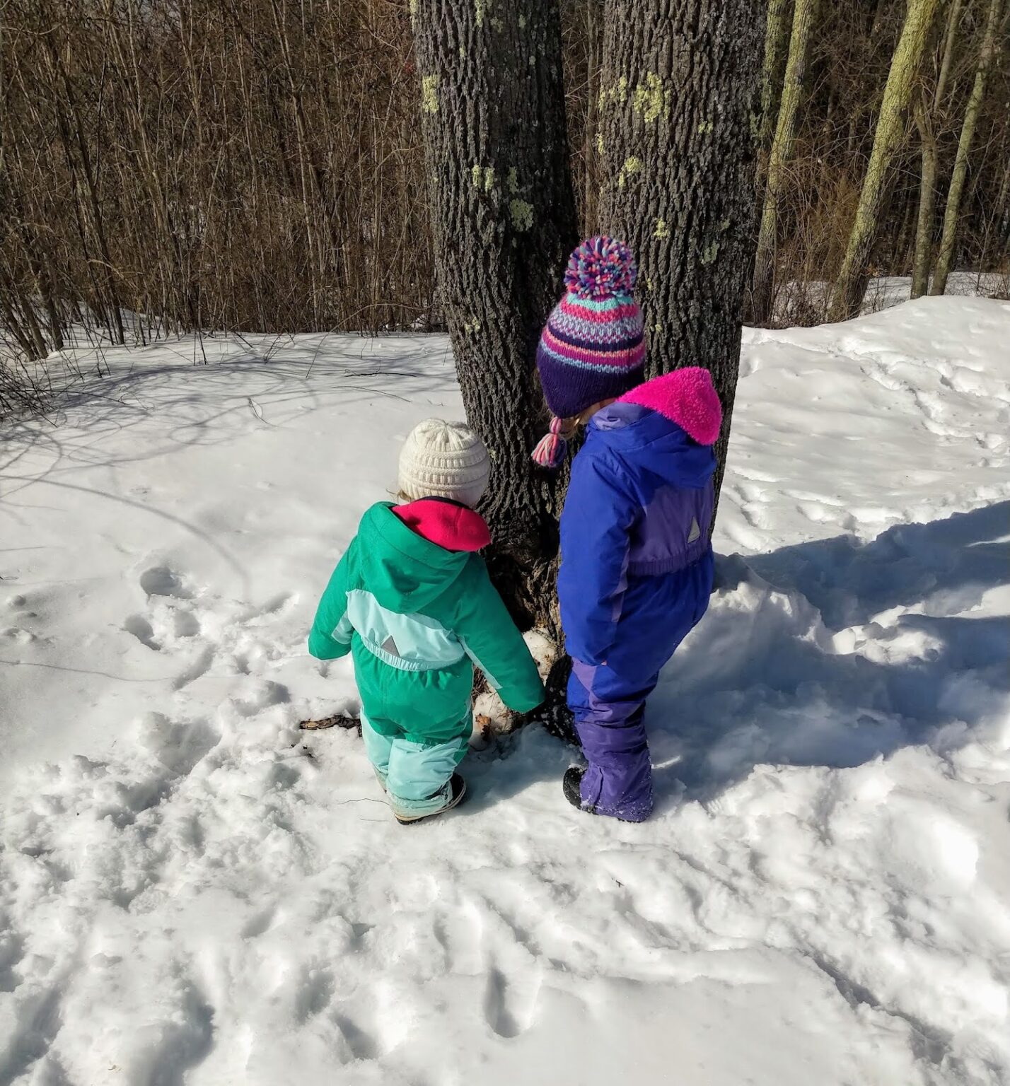 Why is Snow White? - Classwork