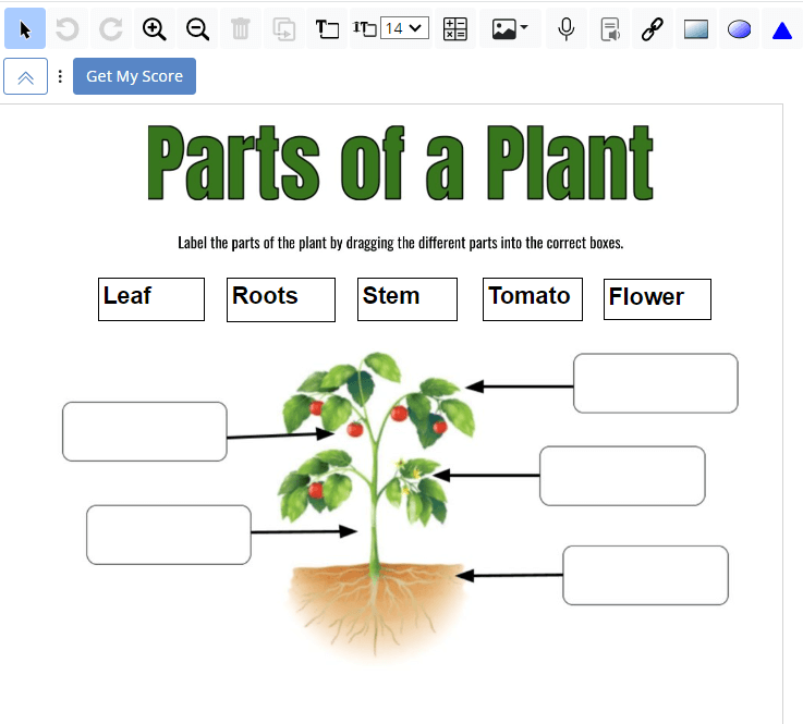 Digital Interactive Worksheet Samples - TeacherMade